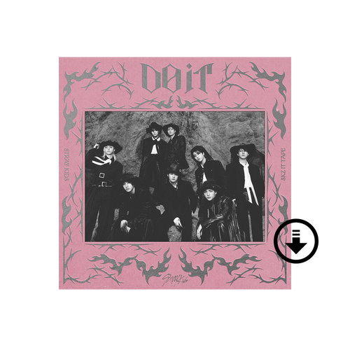 Do It Digital Album - Stray Kids 스트레이 키즈 Official Store